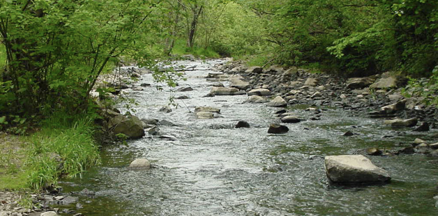 Johnson Creek Watershed Restoration - Rebuild by Design