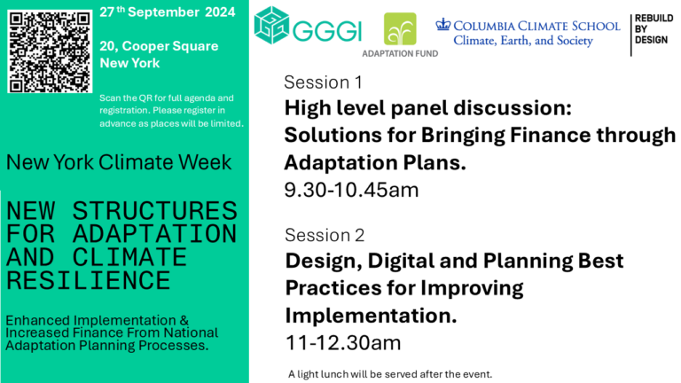 New Structures for Adaptation and Climate Resilience - Rebuild by Design